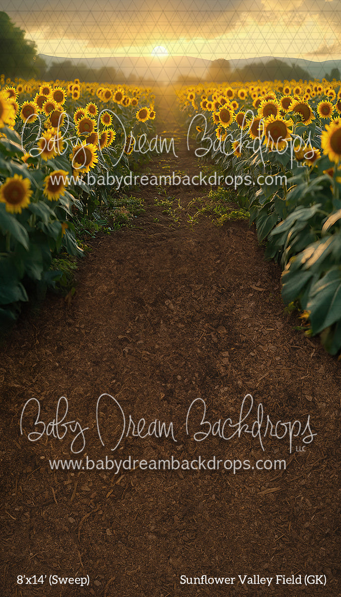 Sweep Sunflower Valley Field (GK) – Baby Dream Backdrops