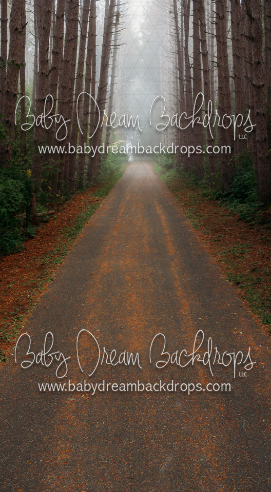 Sweep Tall Trees (KIM) — Baby Dream Backdrops
