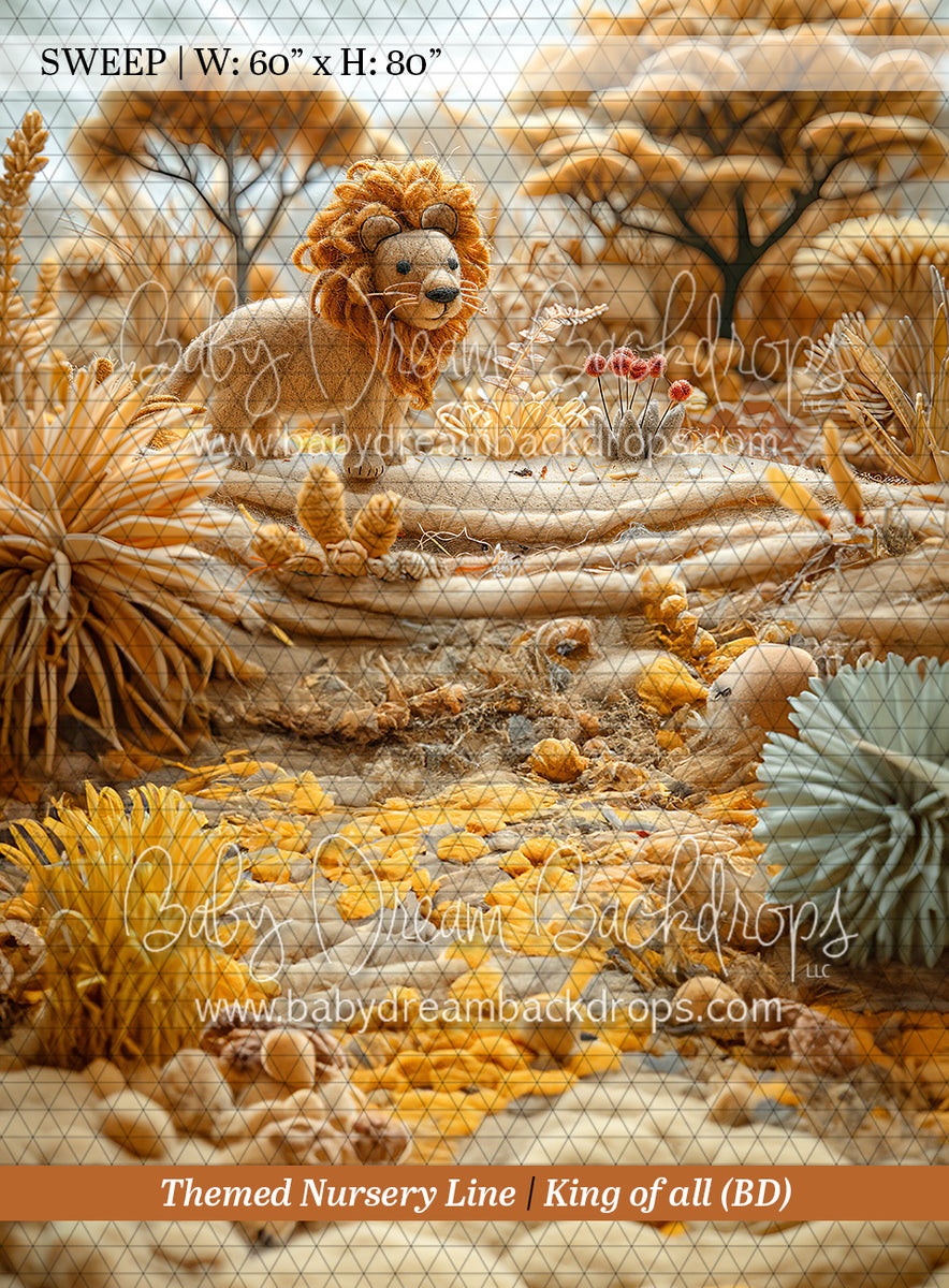 Sweep Themed Nursery Line King of all (BD) – Baby Dream Backdrops