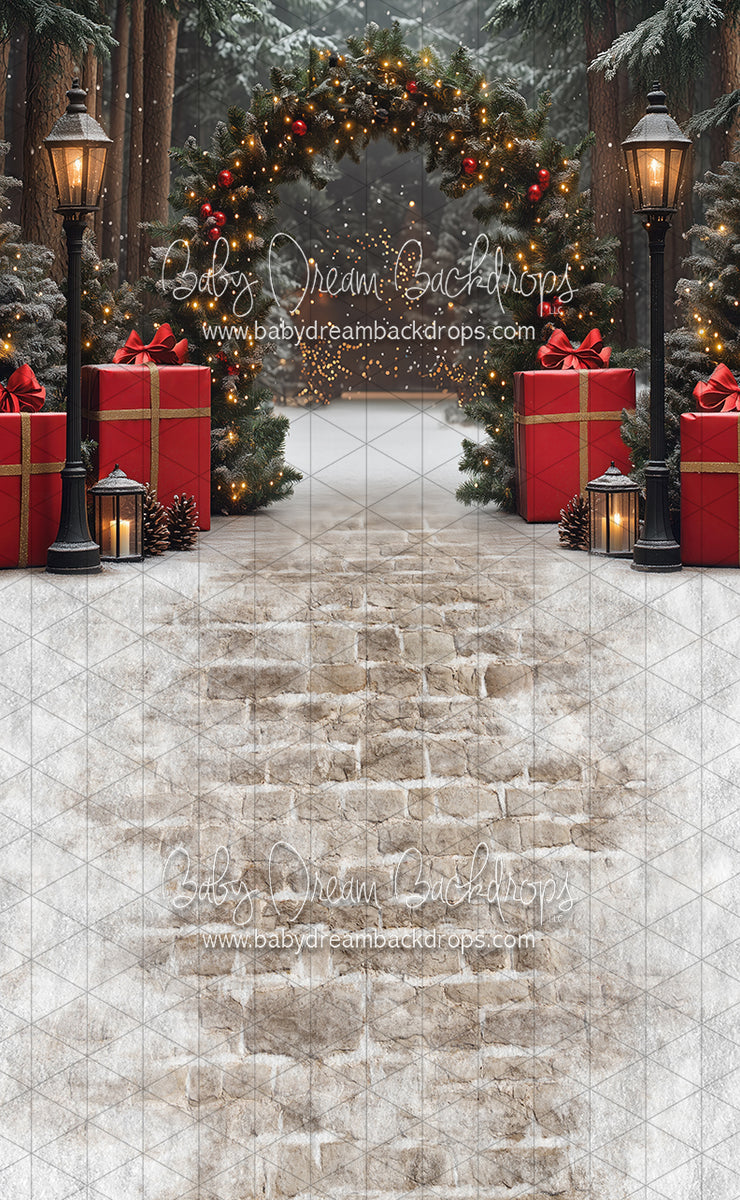 Sweeps Present Path Festive (JA) – Baby Dream Backdrops