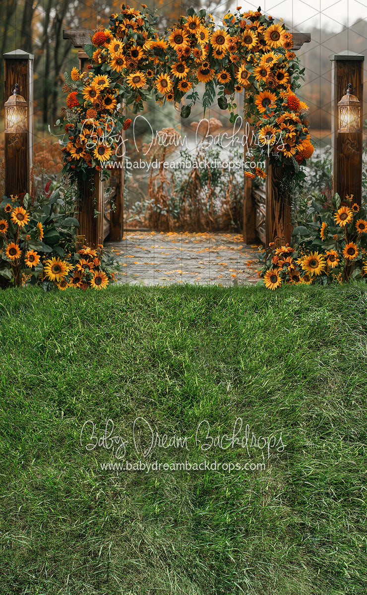 Sweeps Sunflower Arch (JA) – Baby Dream Backdrops