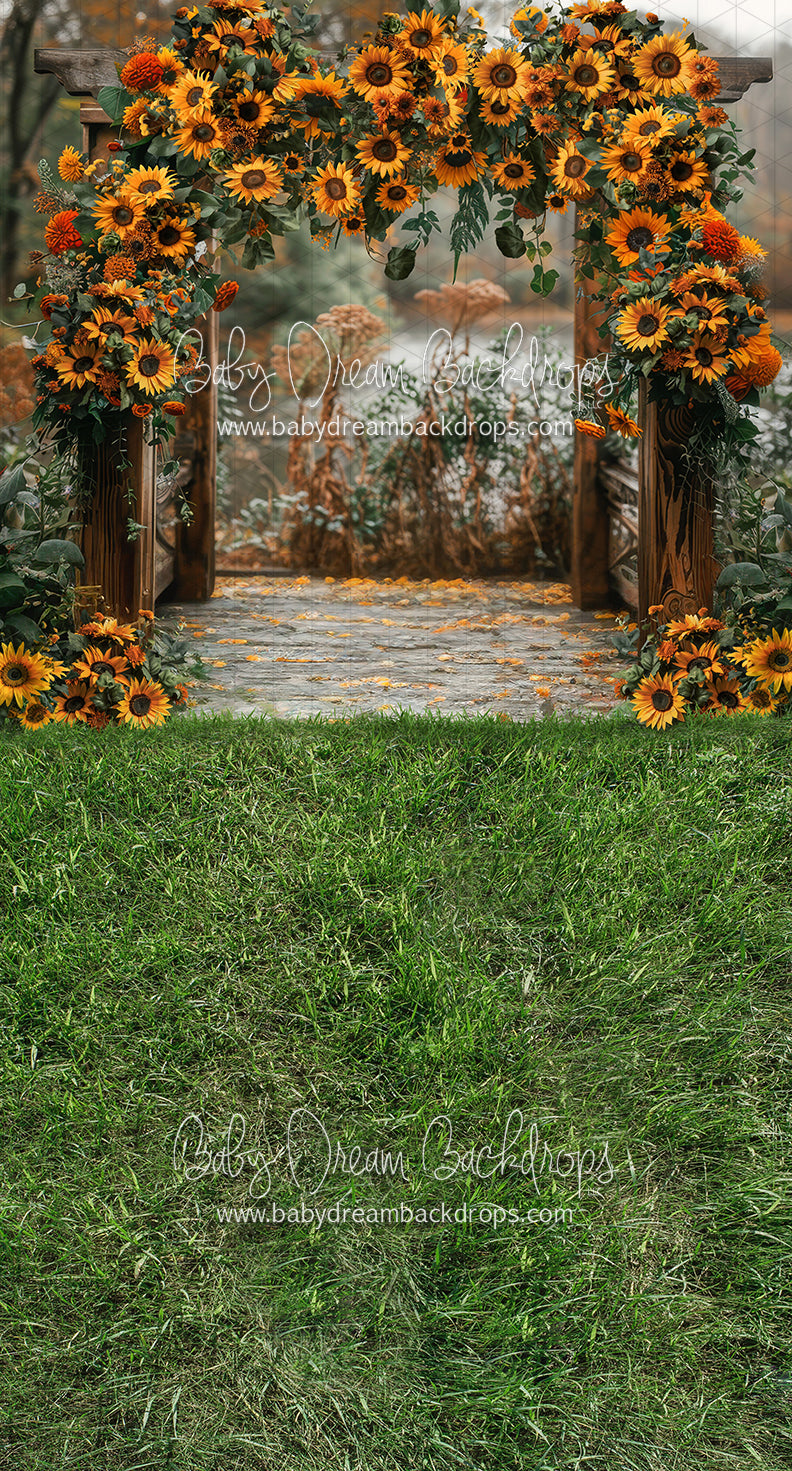 Sweeps Sunflower Arch (JA) — Baby Dream Backdrops