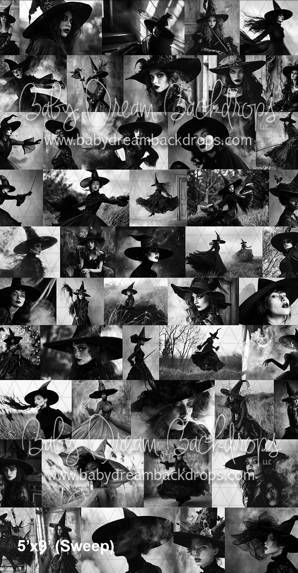 Sweeps Witch, Vogue (AZ) — Baby Dream Backdrops