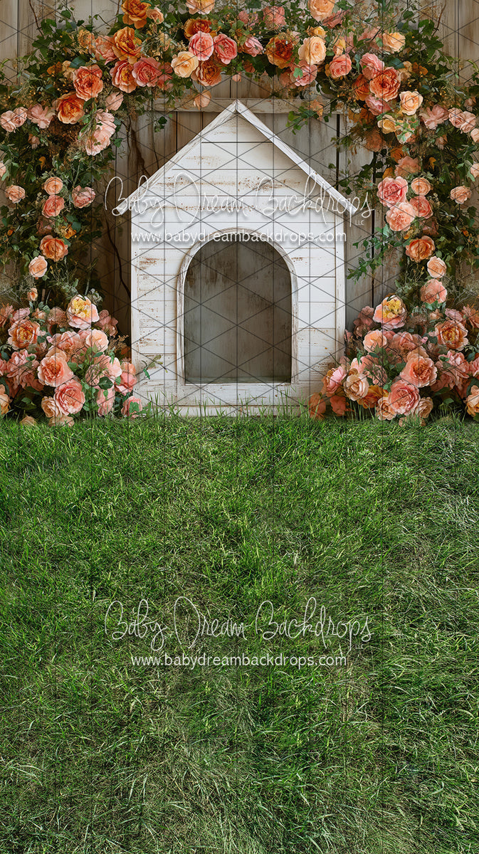 Sweeps Garden Spring Dog House (JA) – Baby Dream Backdrops