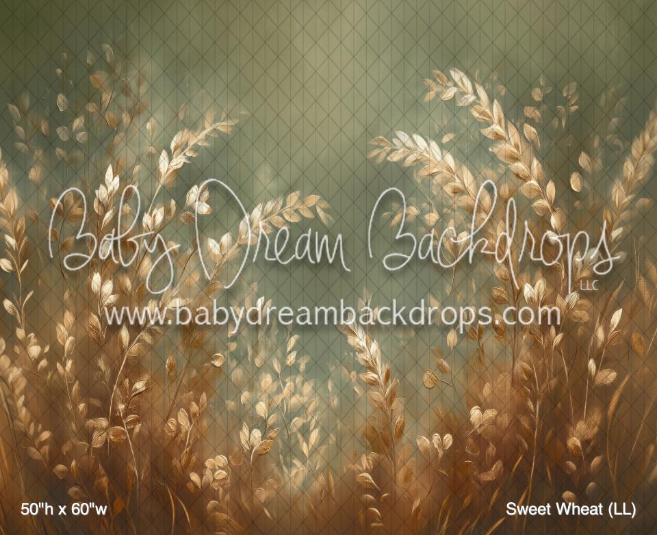 Sweet Wheat (LL) — Baby Dream Backdrops