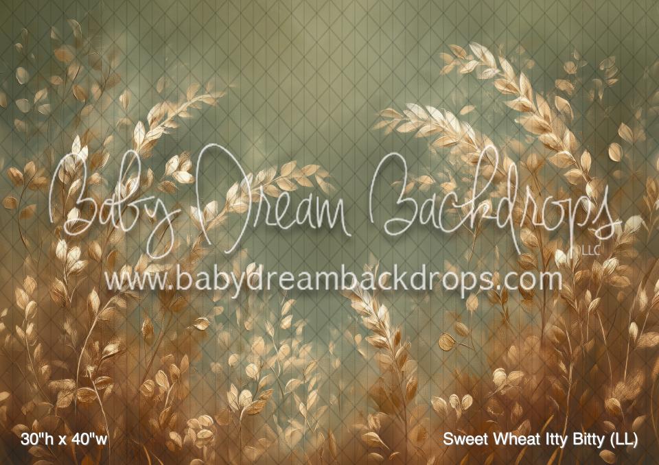 Sweet Wheat Itty Bitty (LL) — Baby Dream Backdrops