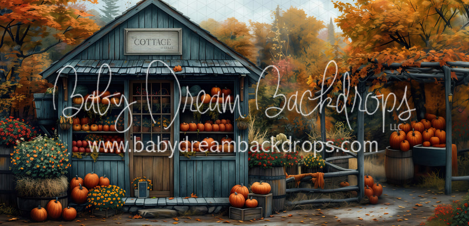 The Cottage Market (MD) – Baby Dream Backdrops