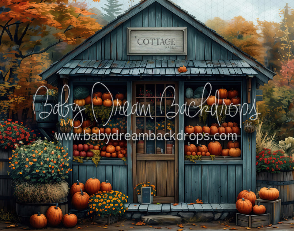The Cottage Market Storefront (MD) — Baby Dream Backdrops