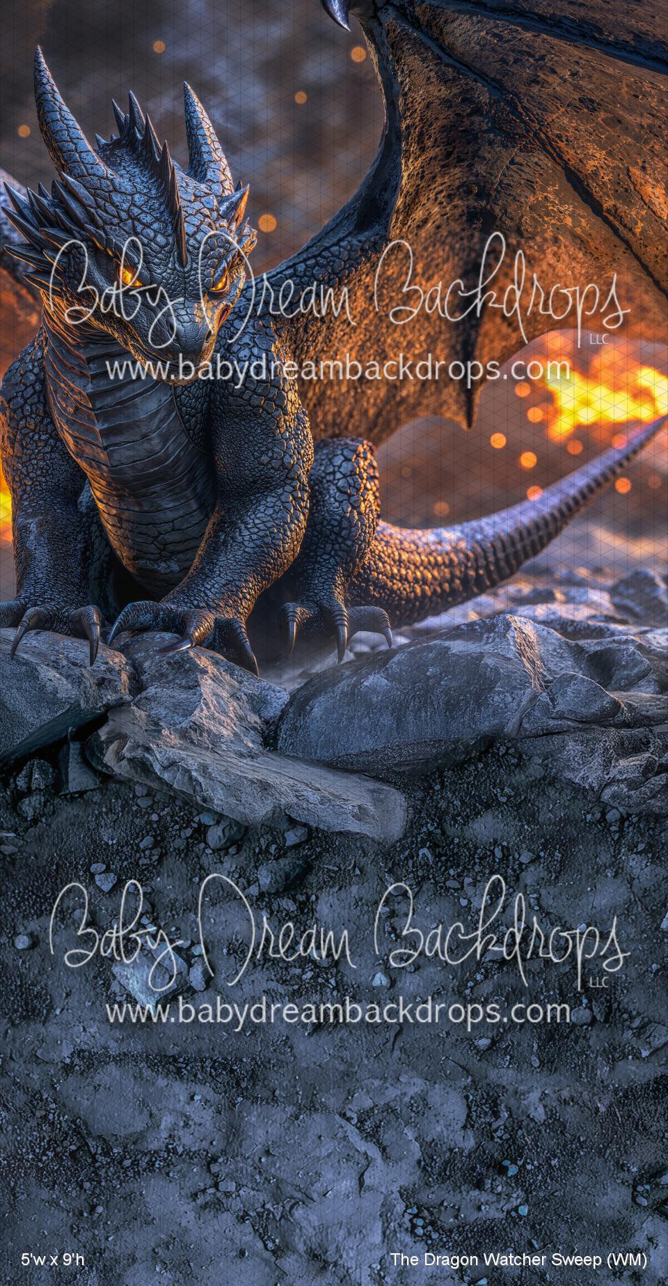 The Dragon Watcher Sweep (WM) — Baby Dream Backdrops
