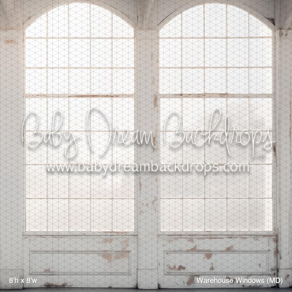 Warehouse Windows (MD) — Baby Dream Backdrops