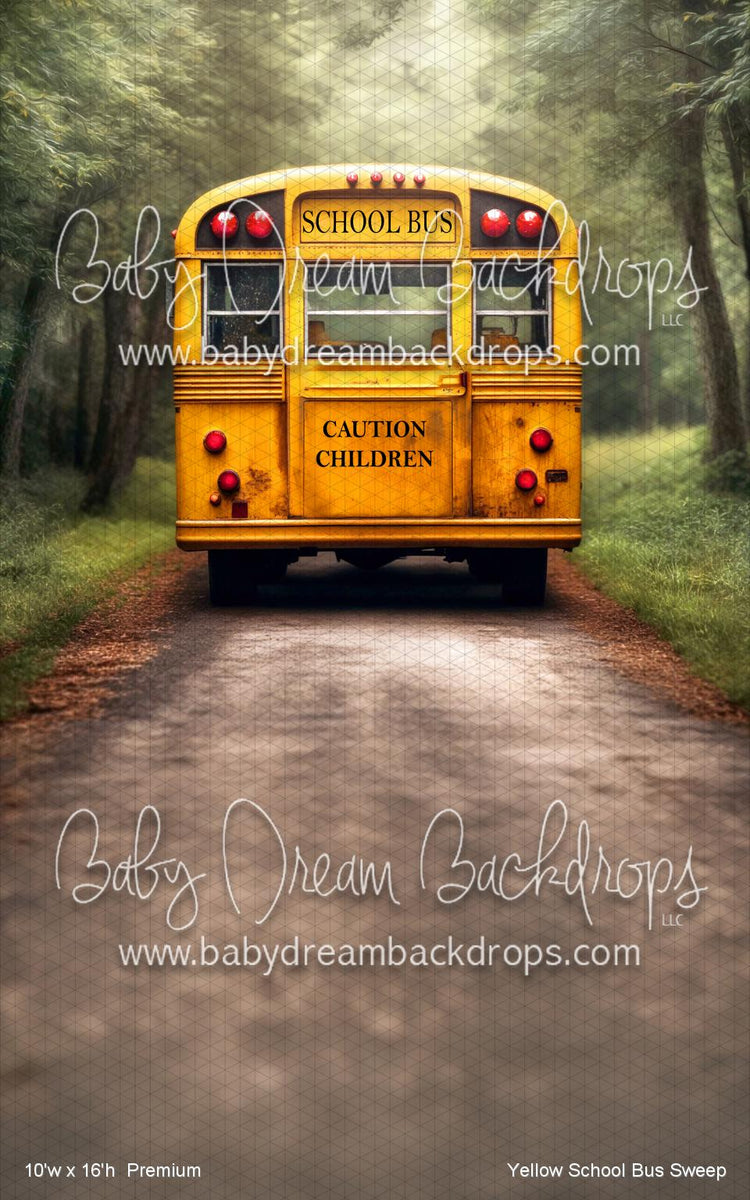 Yellow School Bus Sweep (VR) – Baby Dream Backdrops