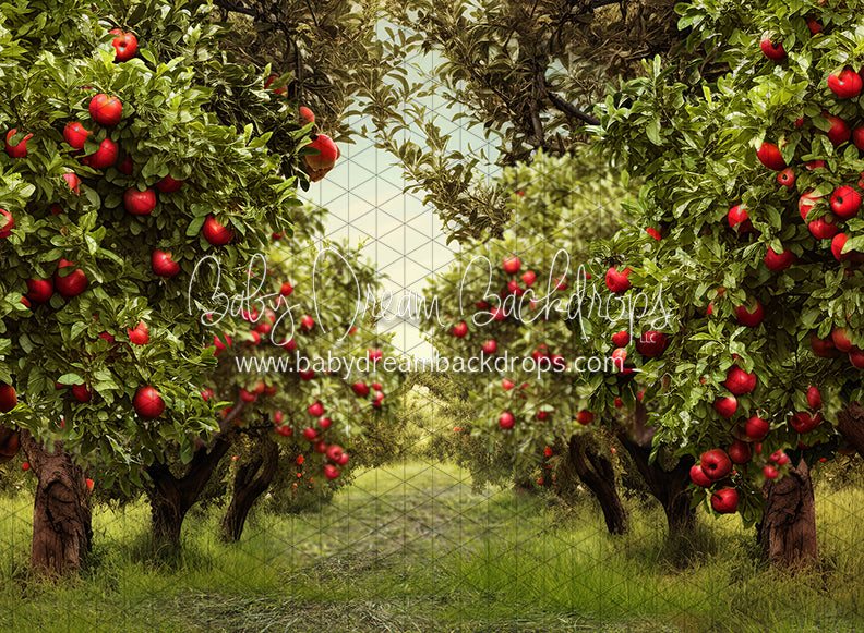 Apple Orchard Path (Grass) (JA) – Baby Dream Backdrops