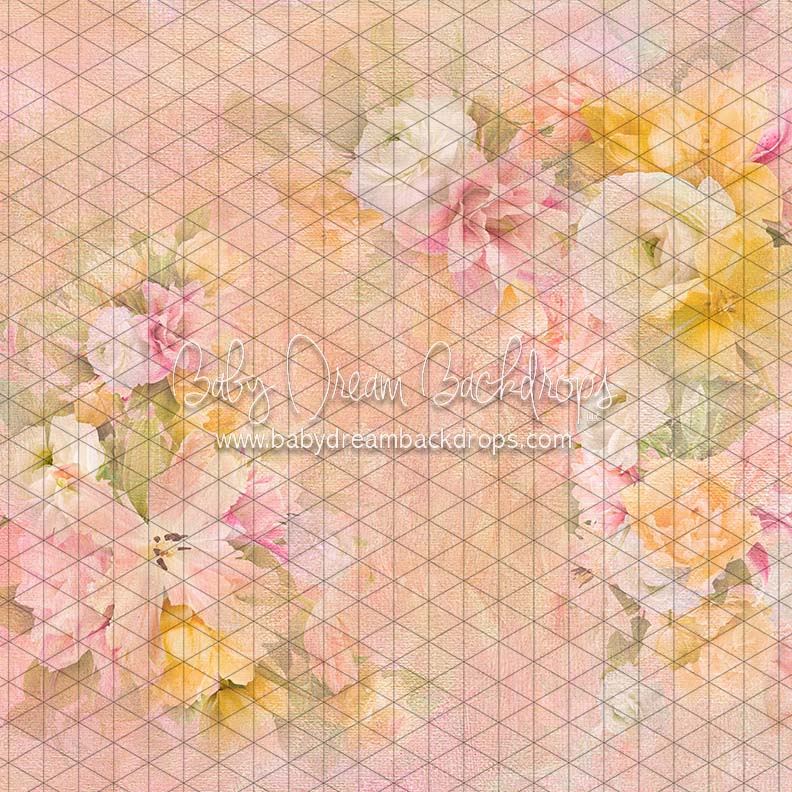 X Drop april awe – Baby Dream Backdrops