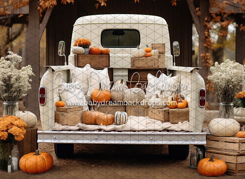 Autumn Tailgating (JA) – Baby Dream Backdrops