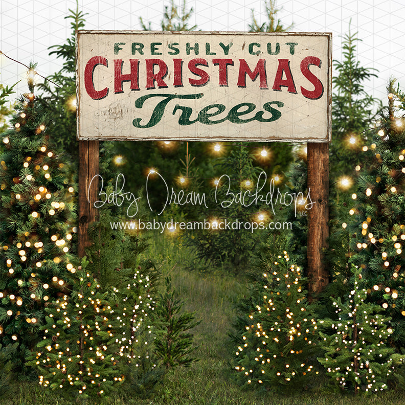 RTS 50x60 fleece Backyard Tree Farm (String Lights + Extra Lights + Si ...