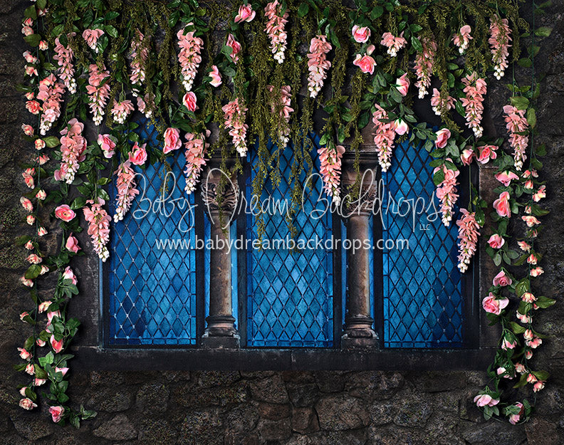 Beautiful Sleep – Baby Dream Backdrops