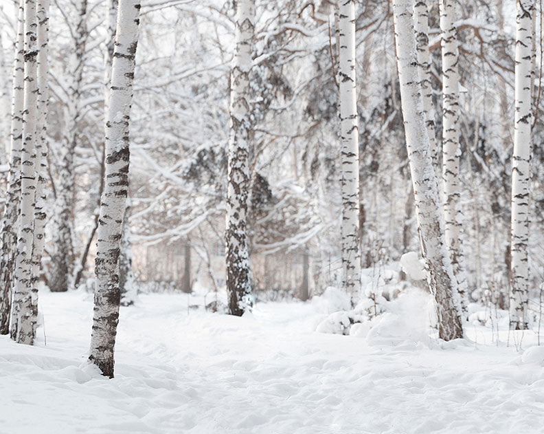 Birch Baby (CC) – Baby Dream Backdrops