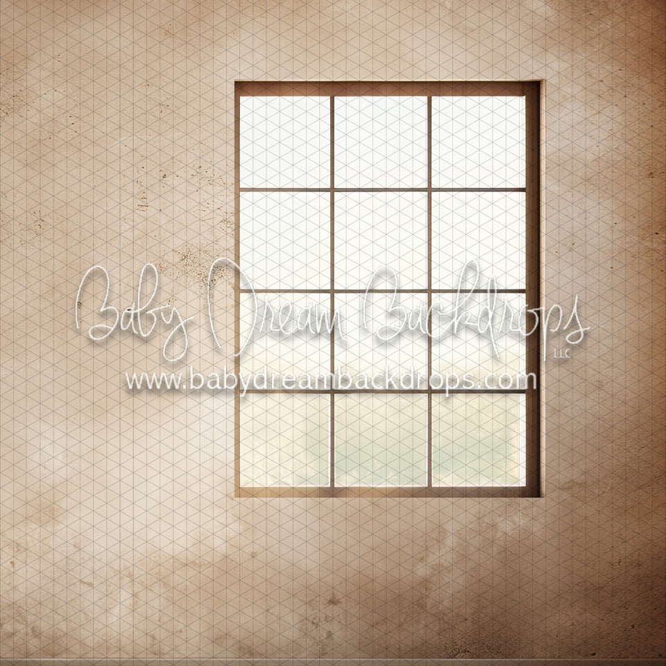 Brown Concrete Texture with Window (MD) – Baby Dream Backdrops