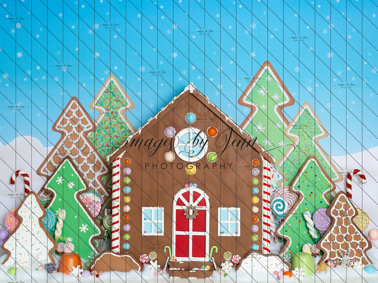 Candy Lane Gingerbread House — Baby Dream Backdrops