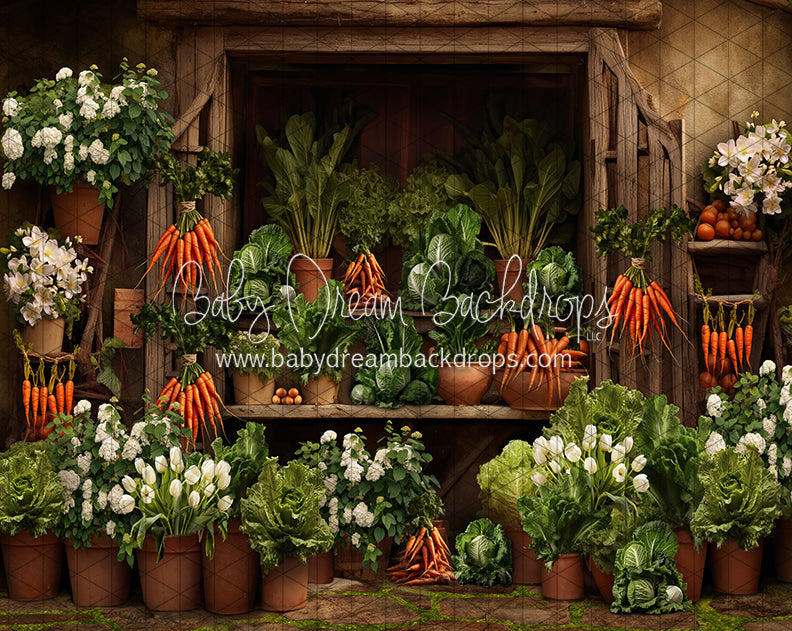 Carrot House Garden Shed (JA) – Baby Dream Backdrops