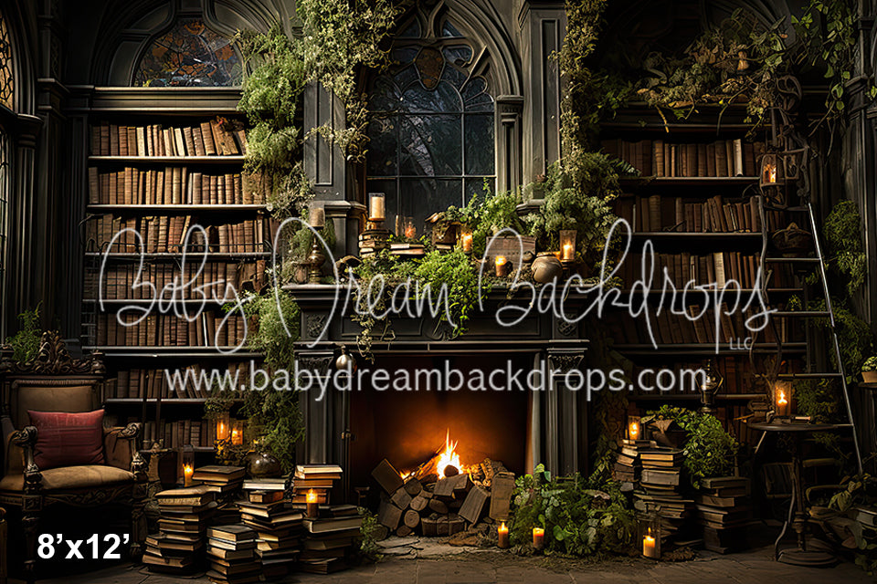 Castle Rock Library (BD) – Baby Dream Backdrops