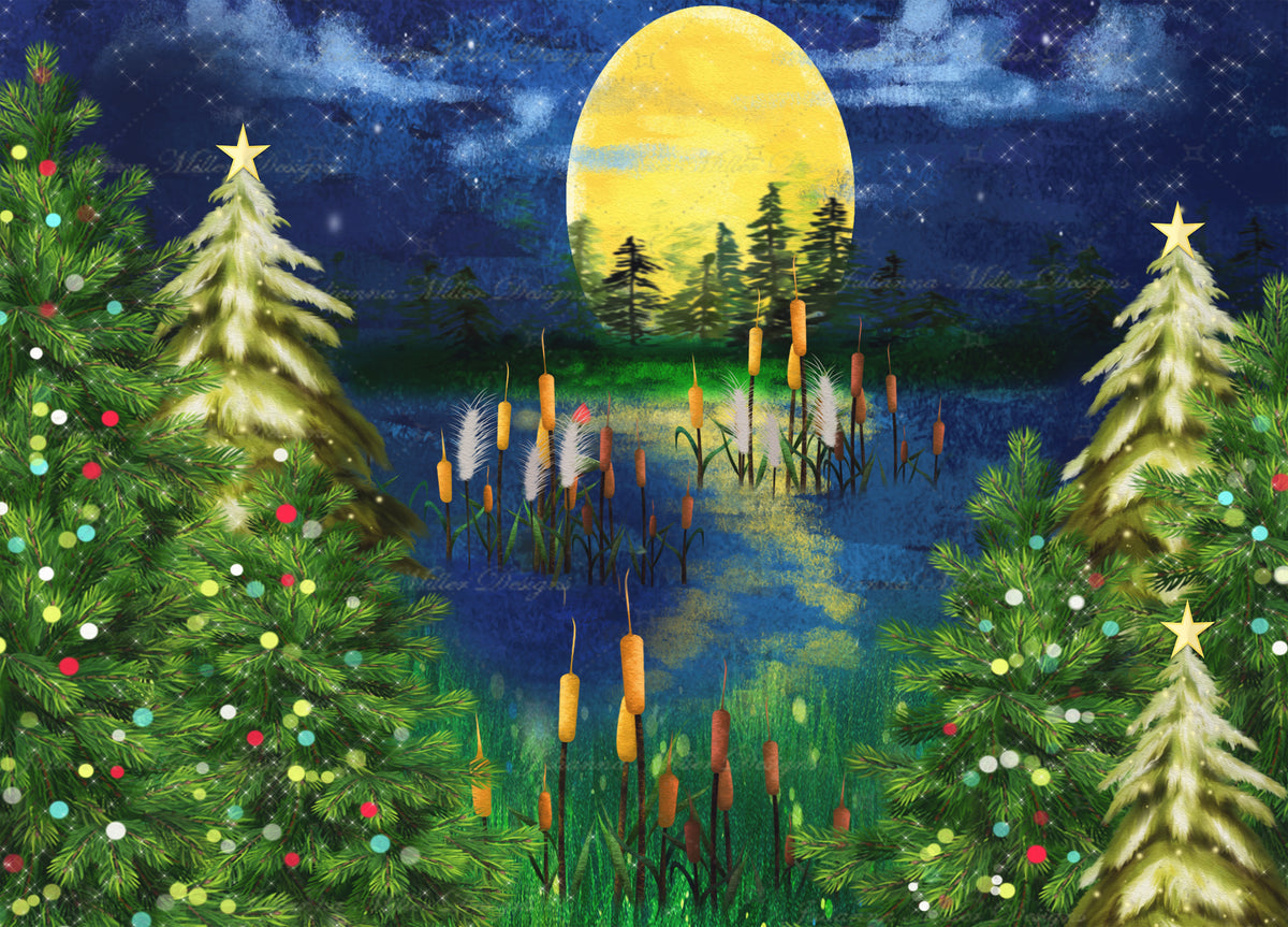 Christmas Bayou — Baby Dream Backdrops