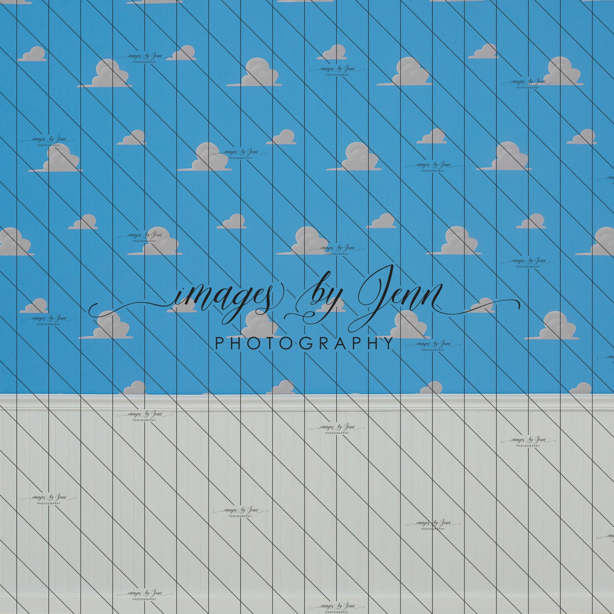 X Drop cloud wainscoting wall – Baby Dream Backdrops