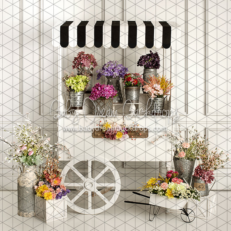 Dainty Bloom Display (BS) – Baby Dream Backdrops