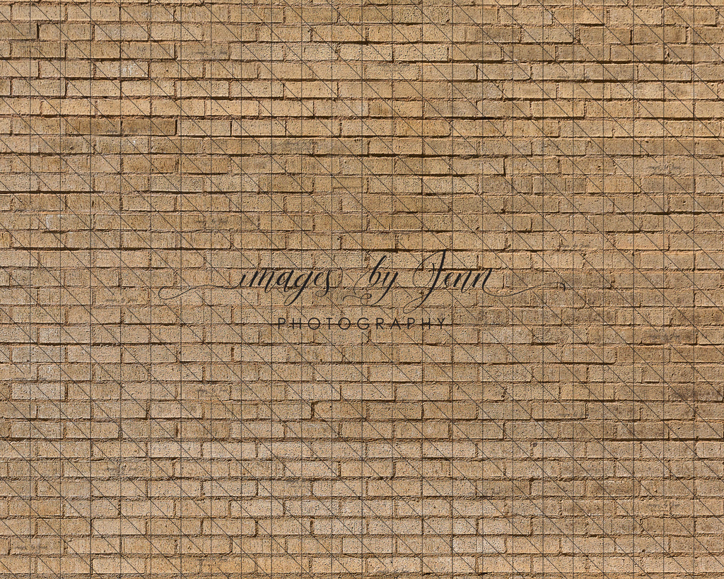 Desert Brick – Baby Dream Backdrops