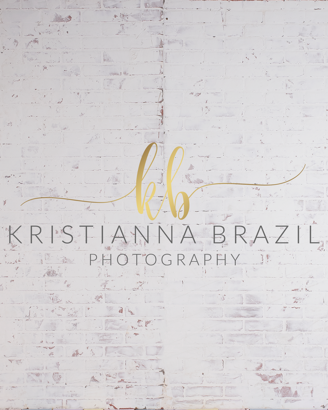 Distressed Brick Wall — Baby Dream Backdrops