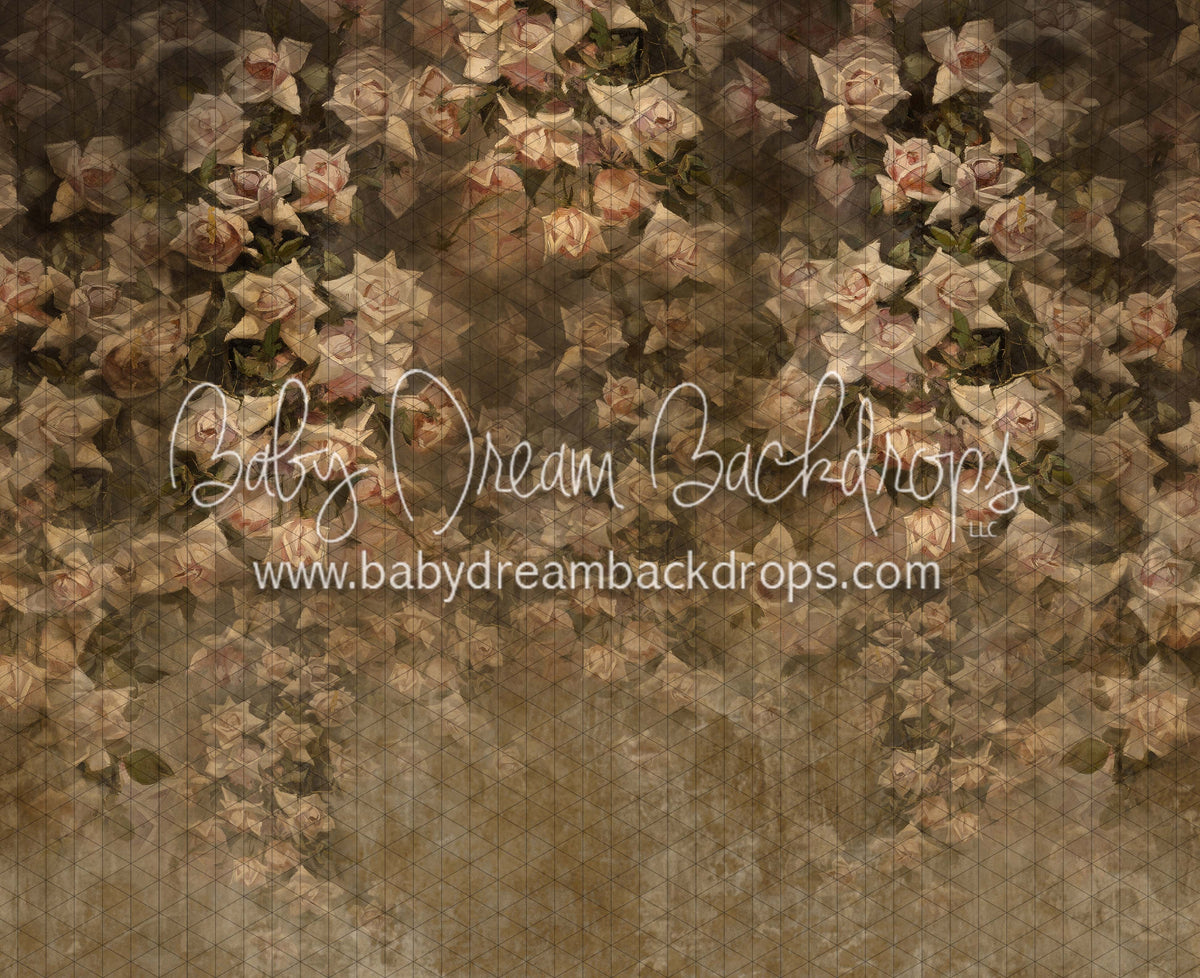 Euphoria Rose — Baby Dream Backdrops