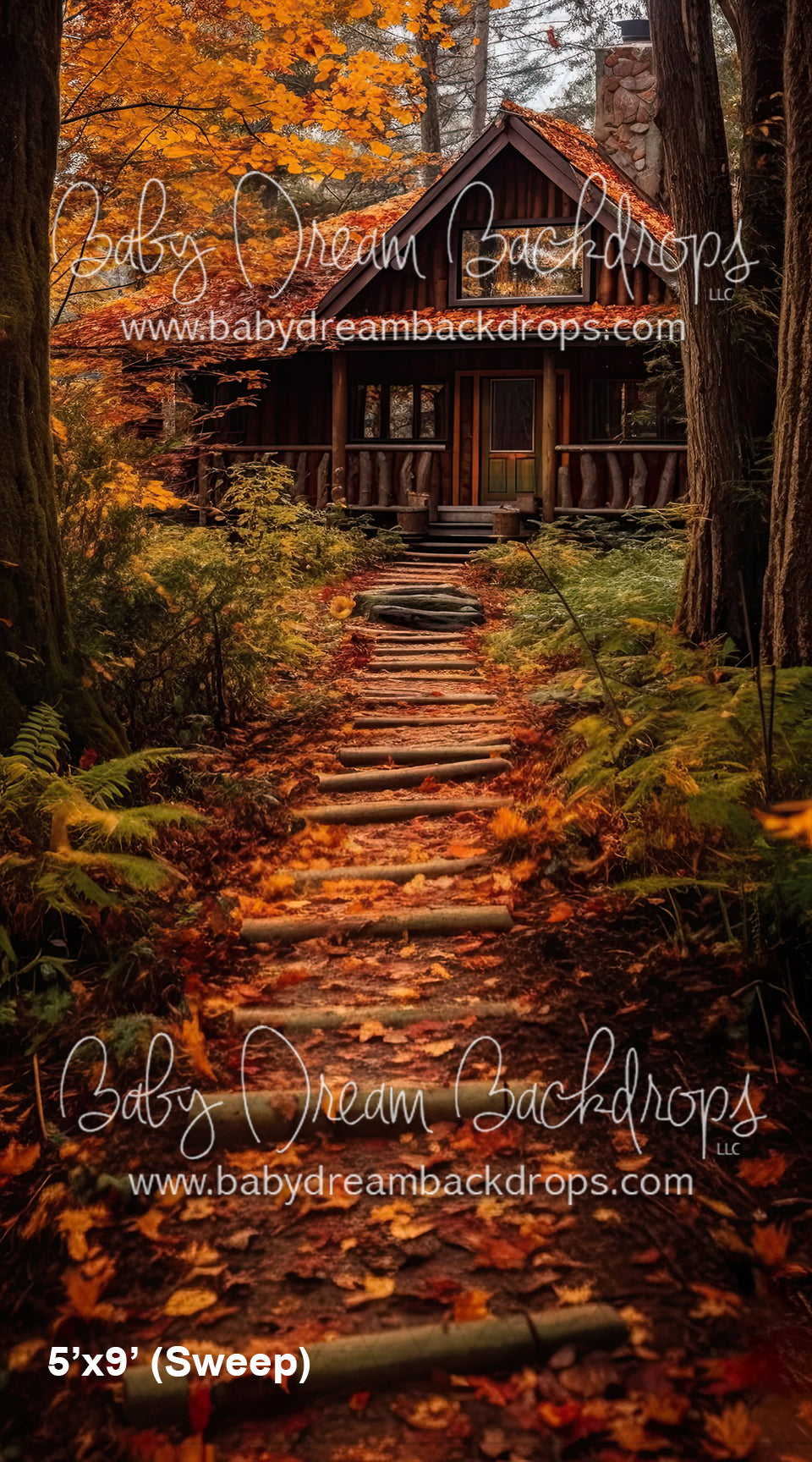 Fall Cabin Sweep (SM) — Baby Dream Backdrops