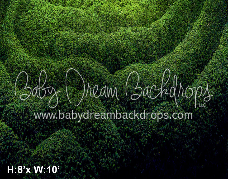 Grassy Hedges Floor Fabric Drop (SM) – Baby Dream Backdrops