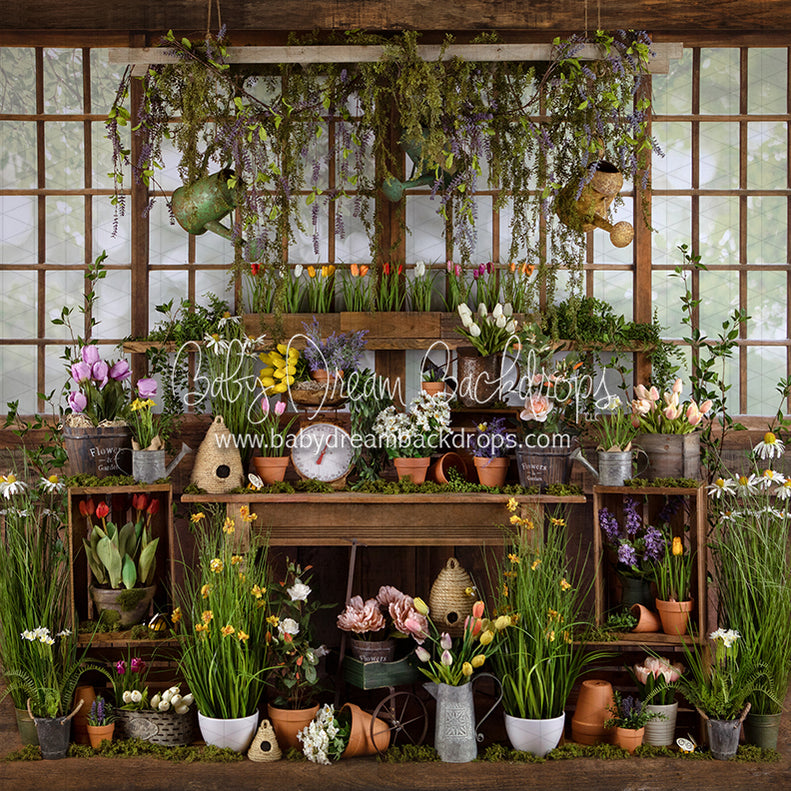 Flower Shack (JA) — Baby Dream Backdrops