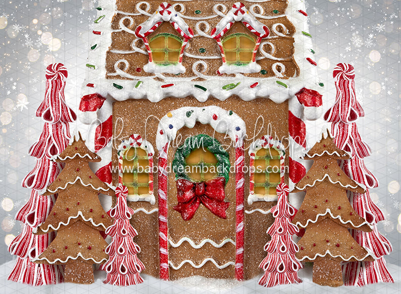 Gingerbread Welcome – Baby Dream Backdrops