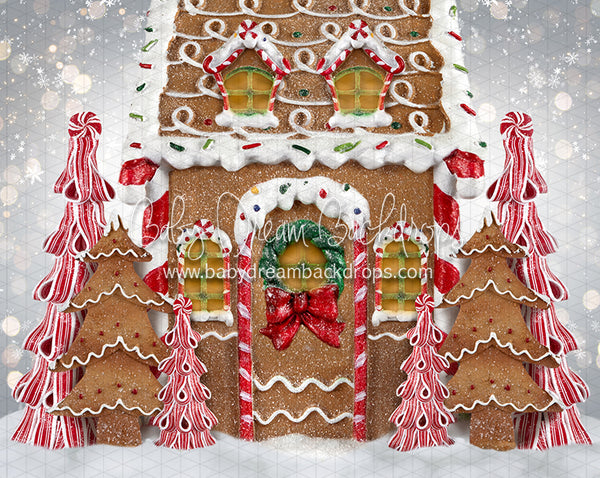 Gingerbread Welcome – Baby Dream Backdrops