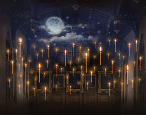 Great Hall — Baby Dream Backdrops