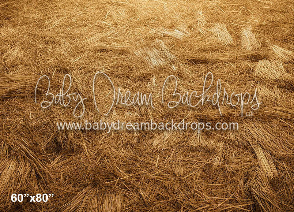Hay on the Barn Fabric Floor (AZ) — Baby Dream Backdrops