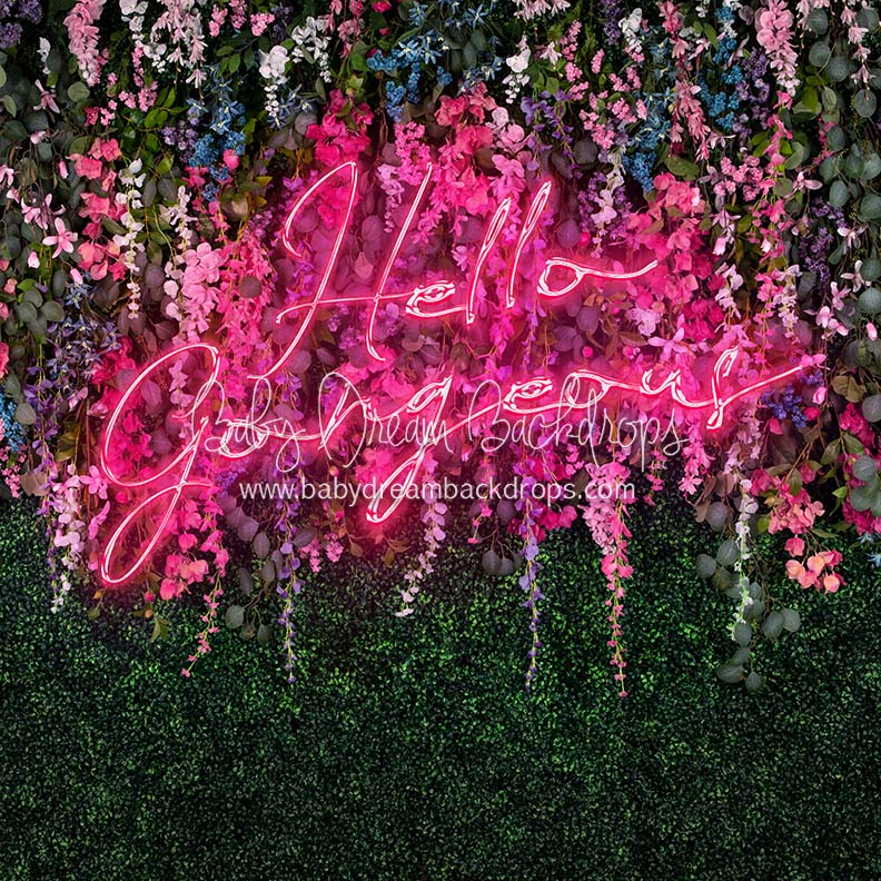X Drop hello gorgeous floral — Baby Dream Backdrops