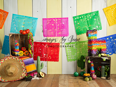 It's a Fiesta – Baby Dream Backdrops