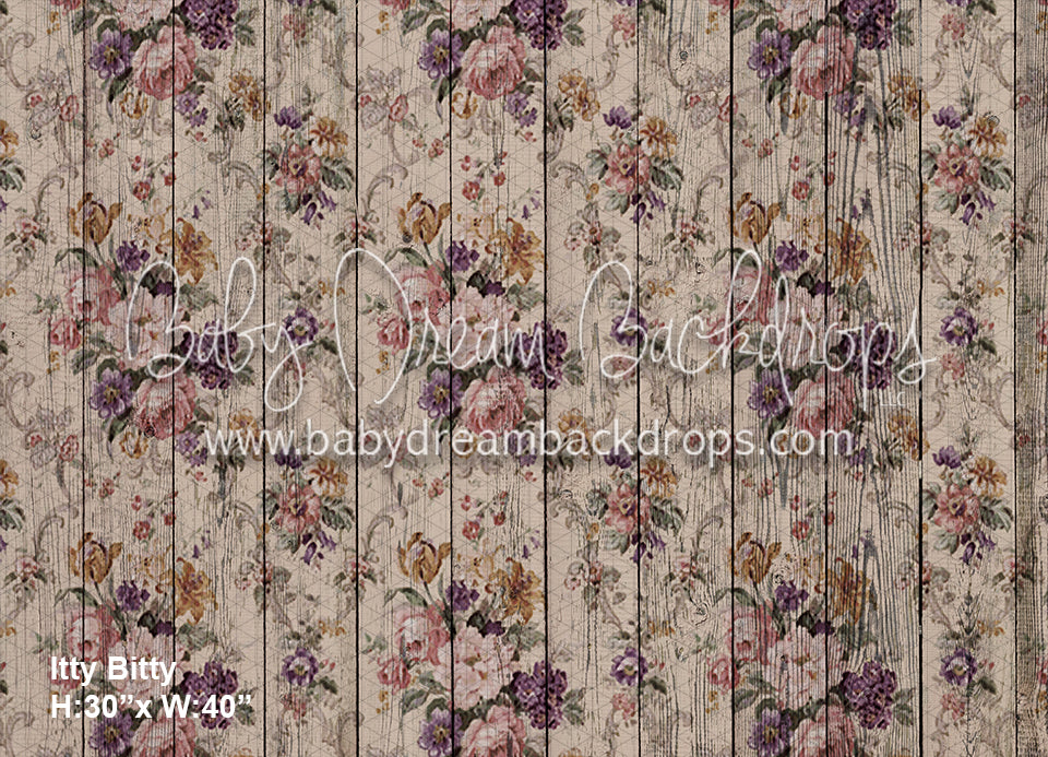 Itty Bitty Cream (BD) — Baby Dream Backdrops