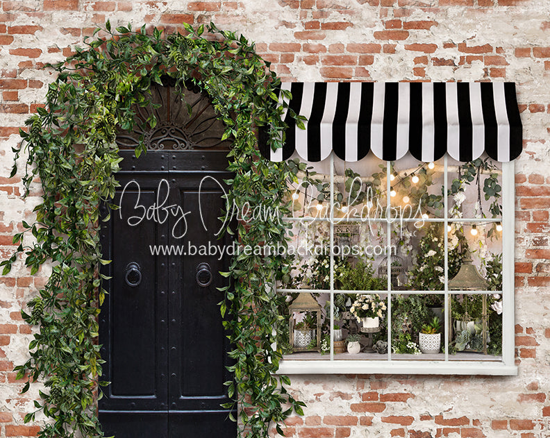 Ivy and Company – Baby Dream Backdrops