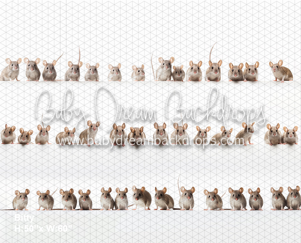 Mousin' Around (AZ) — Baby Dream Backdrops