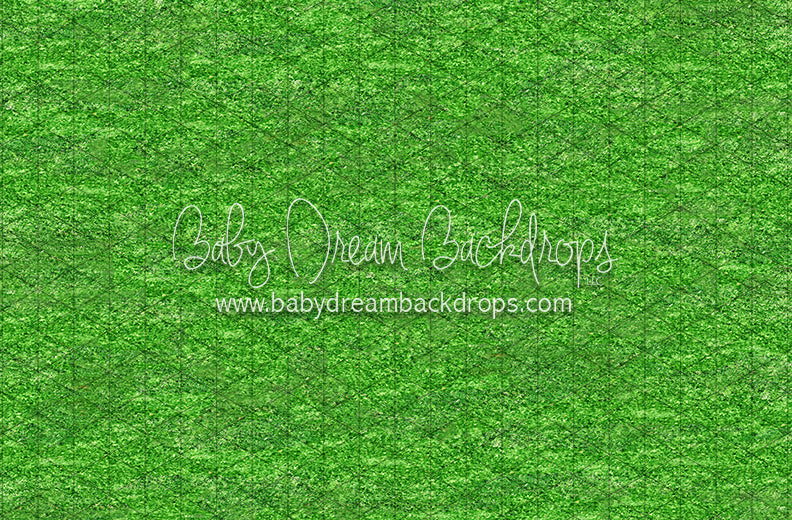 Opening Day Turf Drop — Baby Dream Backdrops