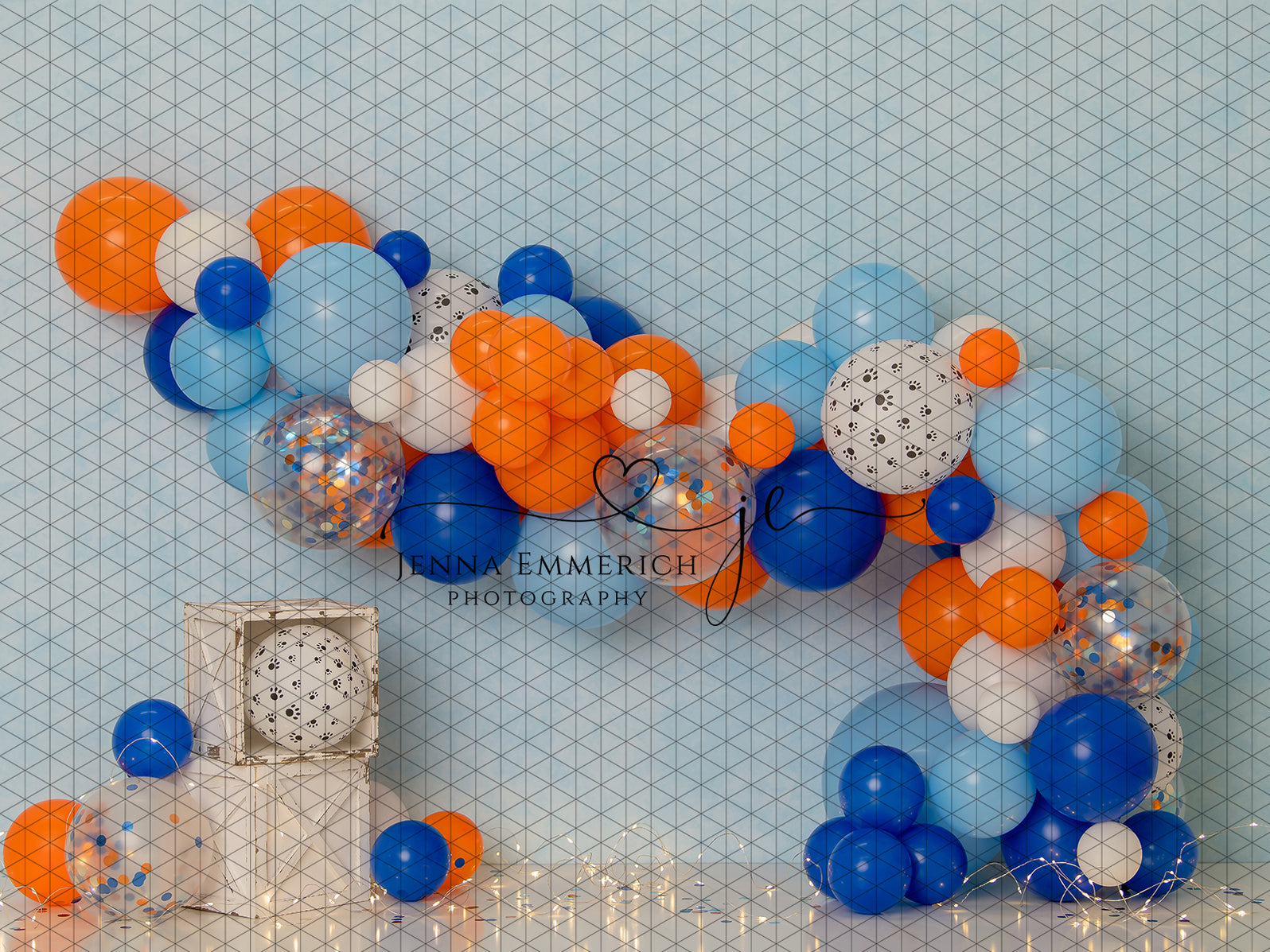 Orange and Bluey Balloons (JE) — Baby Dream Backdrops