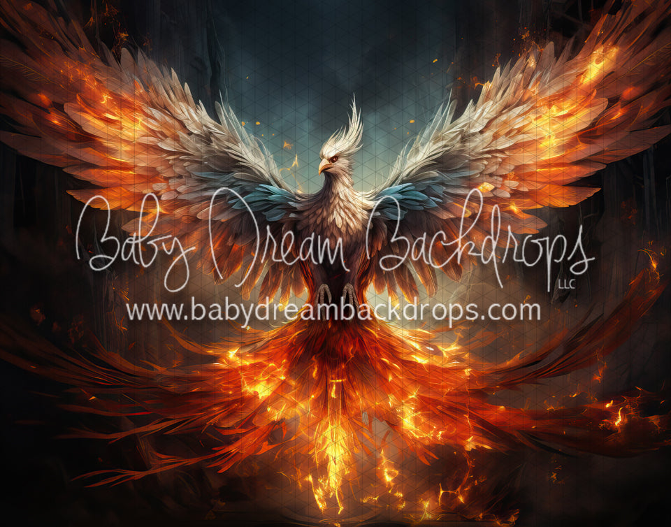 Rising Phoenix (MD) – Baby Dream Backdrops