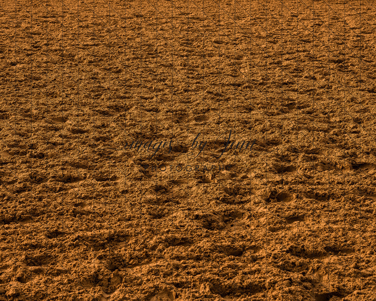 Rodeo Arena Dirt Floor (JG) – Baby Dream Backdrops