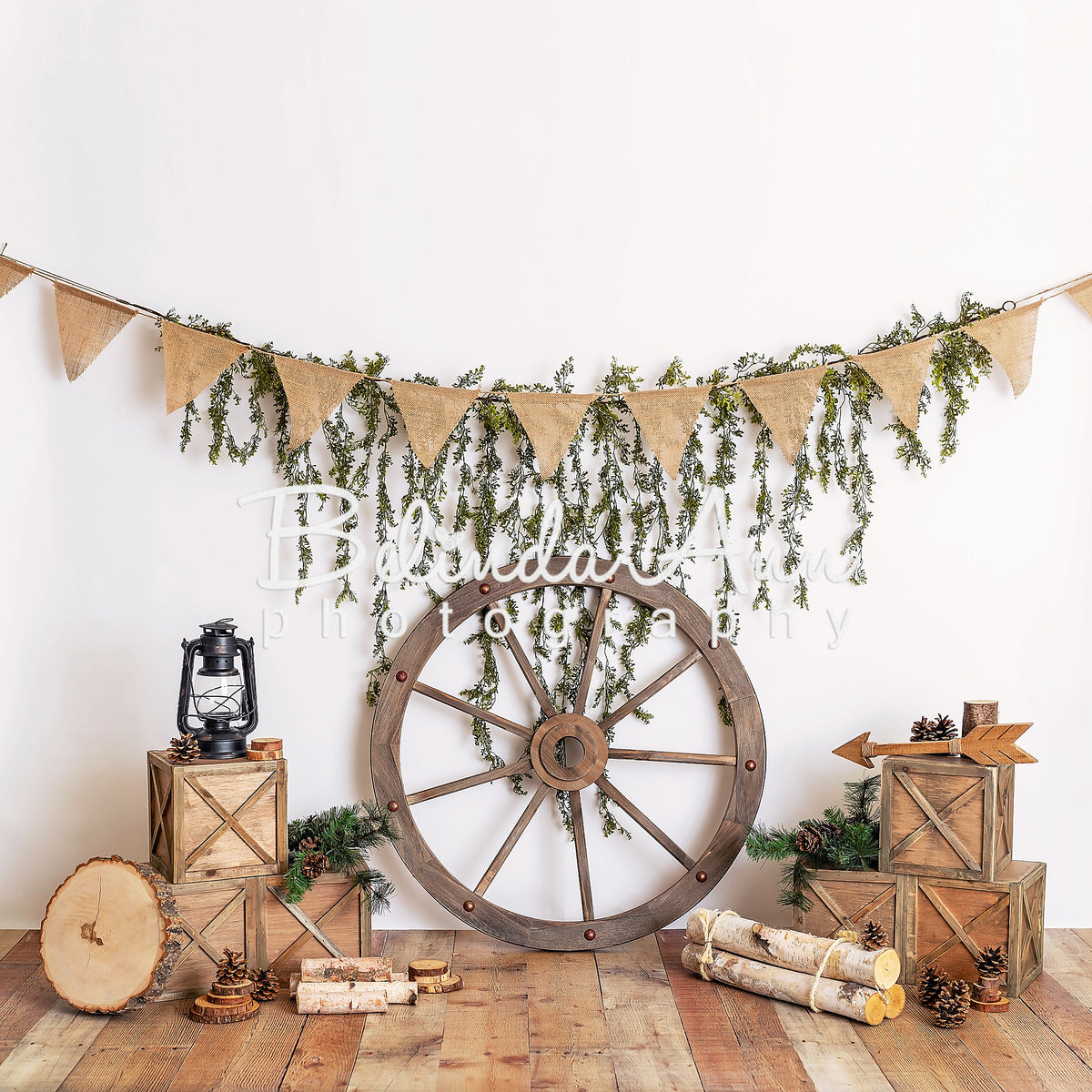 Rustic Wagon Wheel (BA) – Baby Dream Backdrops
