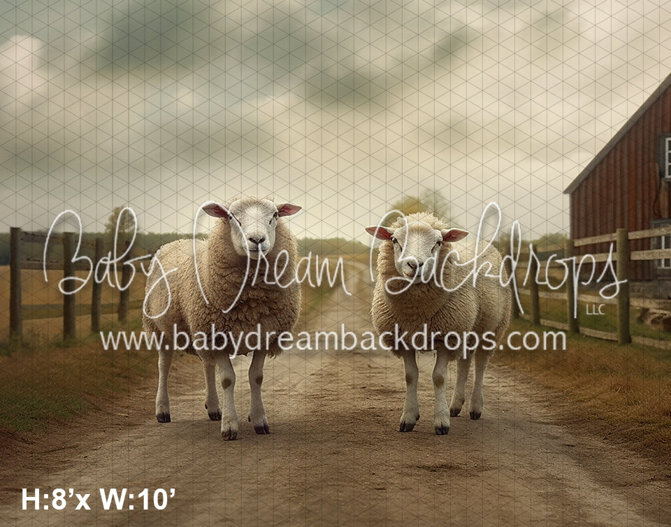 Sheep on the Farm (AZ) – Baby Dream Backdrops