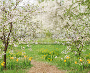 Simple Spring Path (CC) — Baby Dream Backdrops